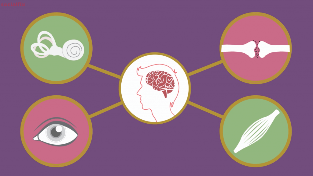 9 Reasons Your B2B Business Needs an Animated Explainer Video - Video ...